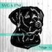 Black Labrador Retriever SVG & PNG Chocolate Lab Svg Digital - Etsy