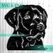 Black Labrador Retriever SVG & PNG, Chocolate Lab Svg, Digital Download ...