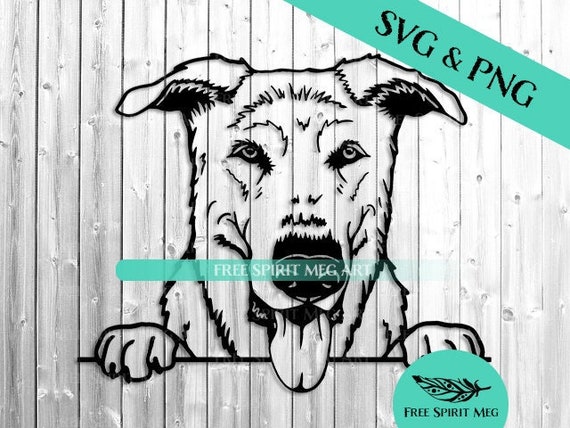 Dog With Floppy Ears SVG & PNG 2 Files Digital Download - Etsy