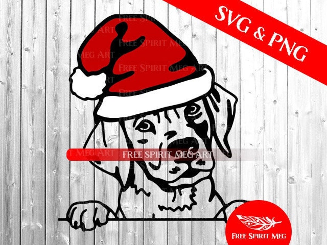 Christmas Lab SVG & PNG, Multi Layered Instant Download, Labrador ...