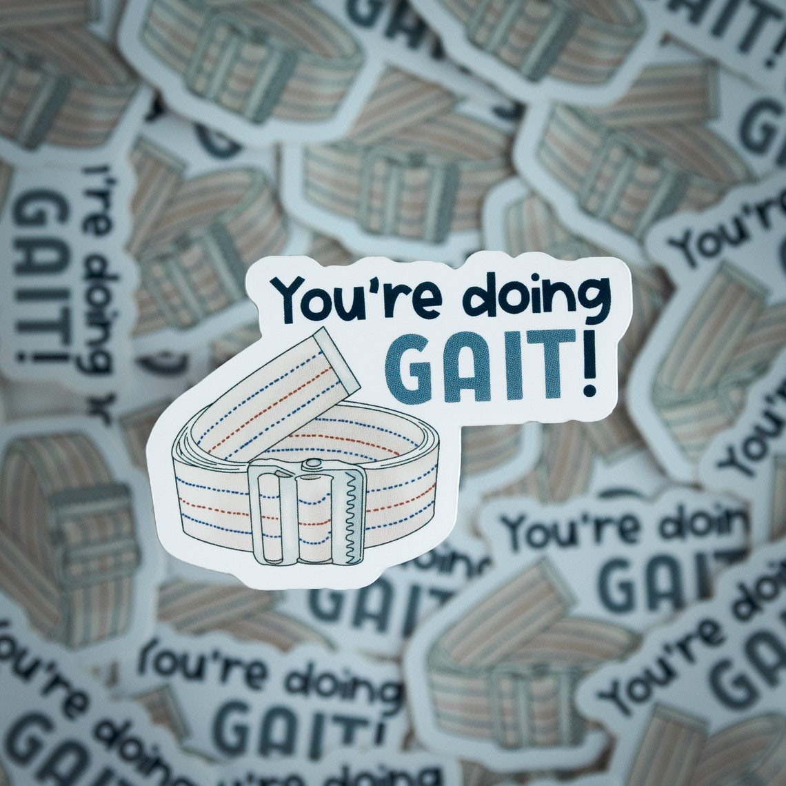 You're Doing Gait Sticker / Physical Therapy Gift / CI / Dpt / Physical ...