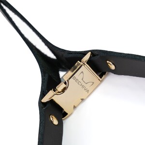 Leather Harness for Small Dogs. Chihuahua, Yorkshire Terrier, Maltese ...