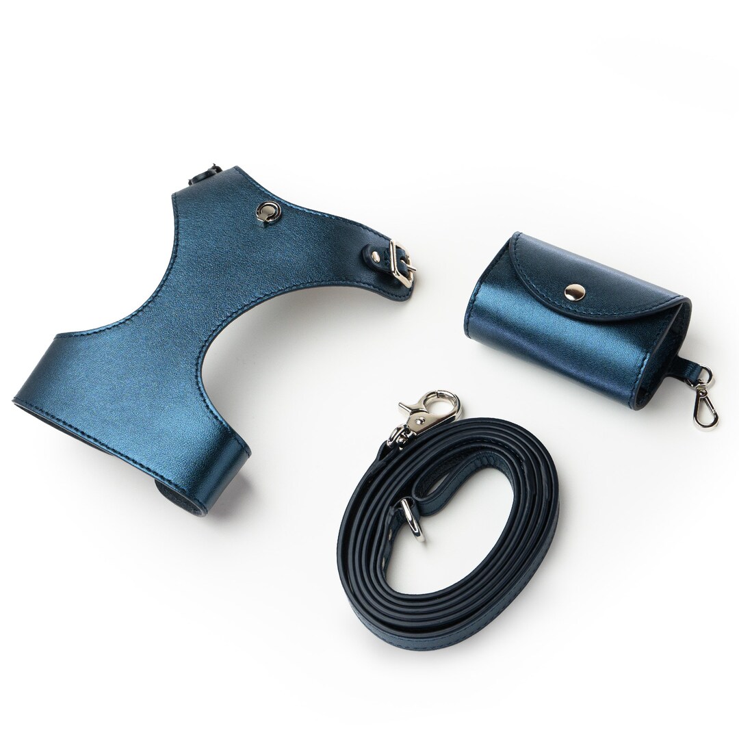 BECHIVA Soft Real Leather Harness and Leash Set With Poop Bags Holder ...