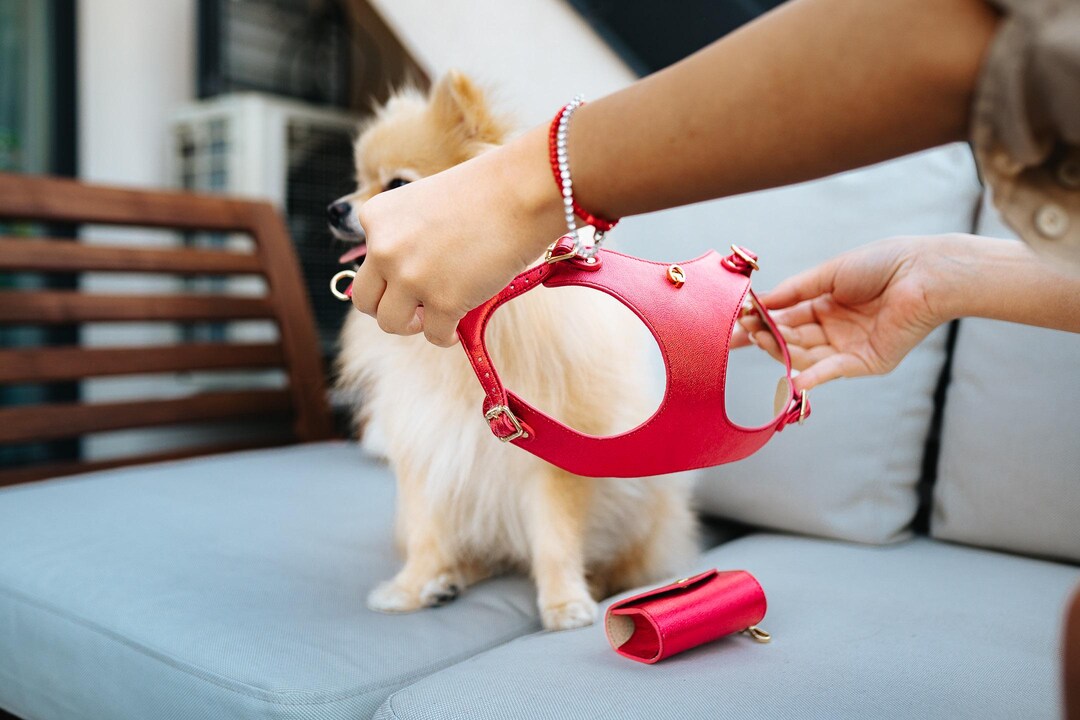 BECHIVA Soft Real Leather Harness for Small Dogs/cats. Chihuahua ...