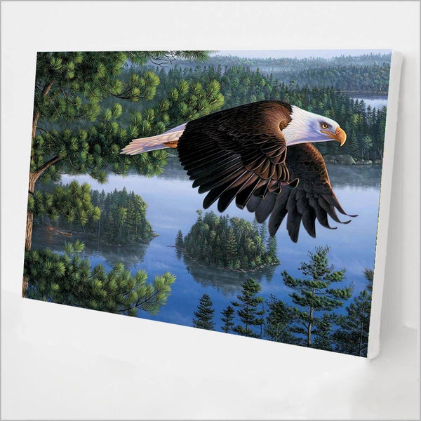 Eagle Paint by Number - Etsy