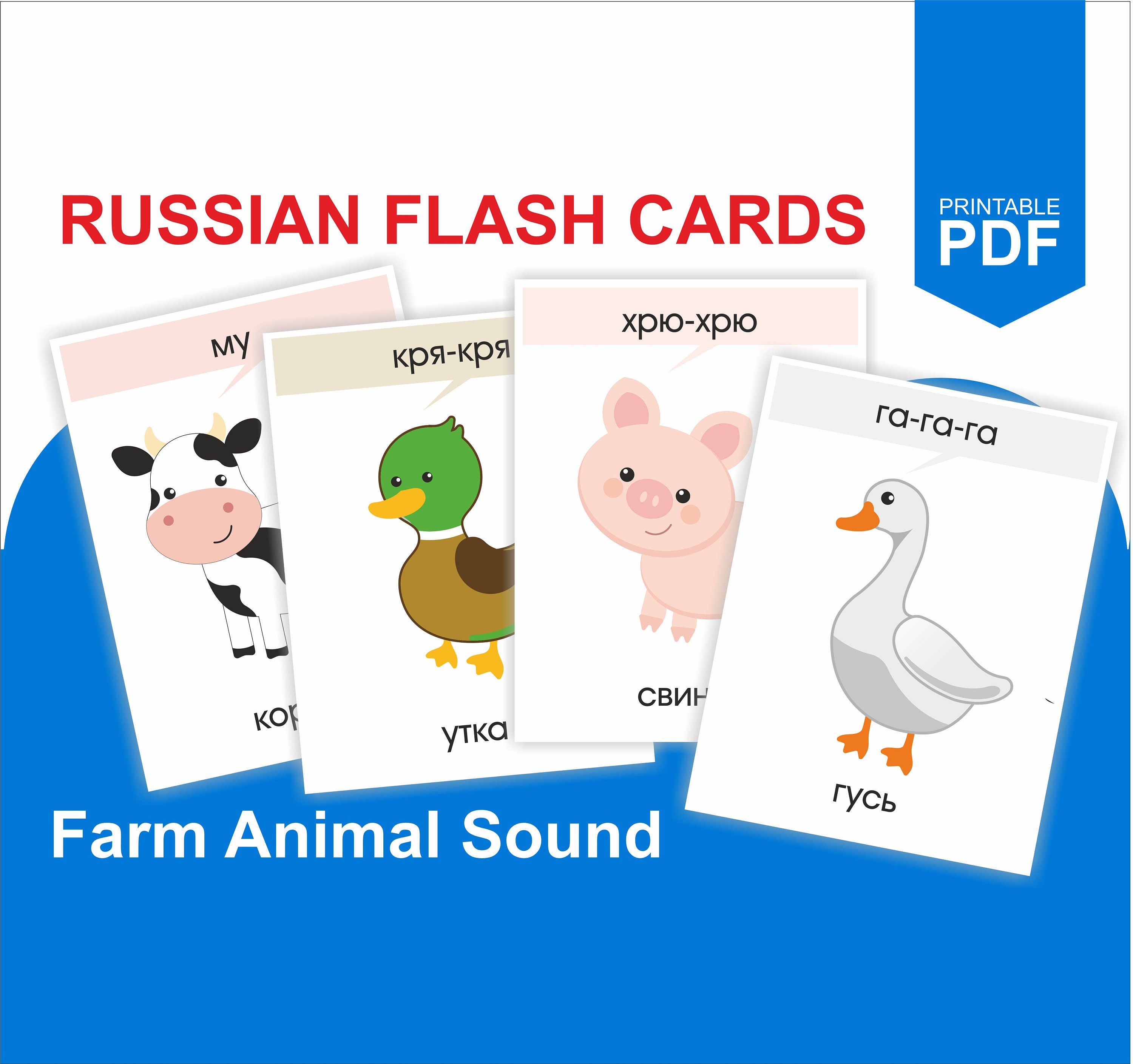 Russian Flashcards Anki at Justin Salgado blog