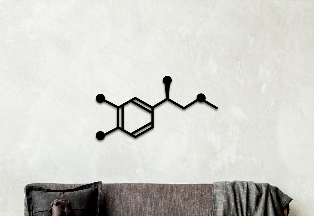 Adrenaline Wall Artfight or Flight Epinephrine Moleculewood - Etsy