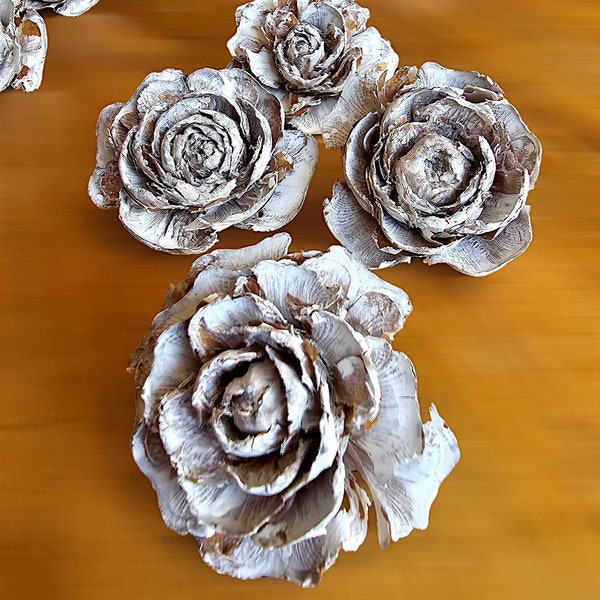 Cedar Roses - Etsy