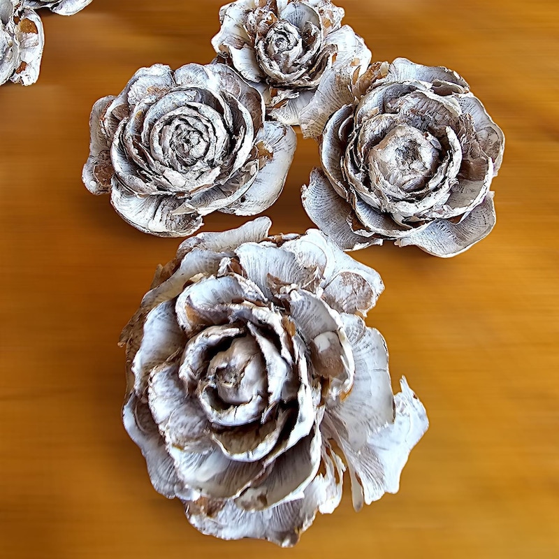 Cedar Rose - Etsy