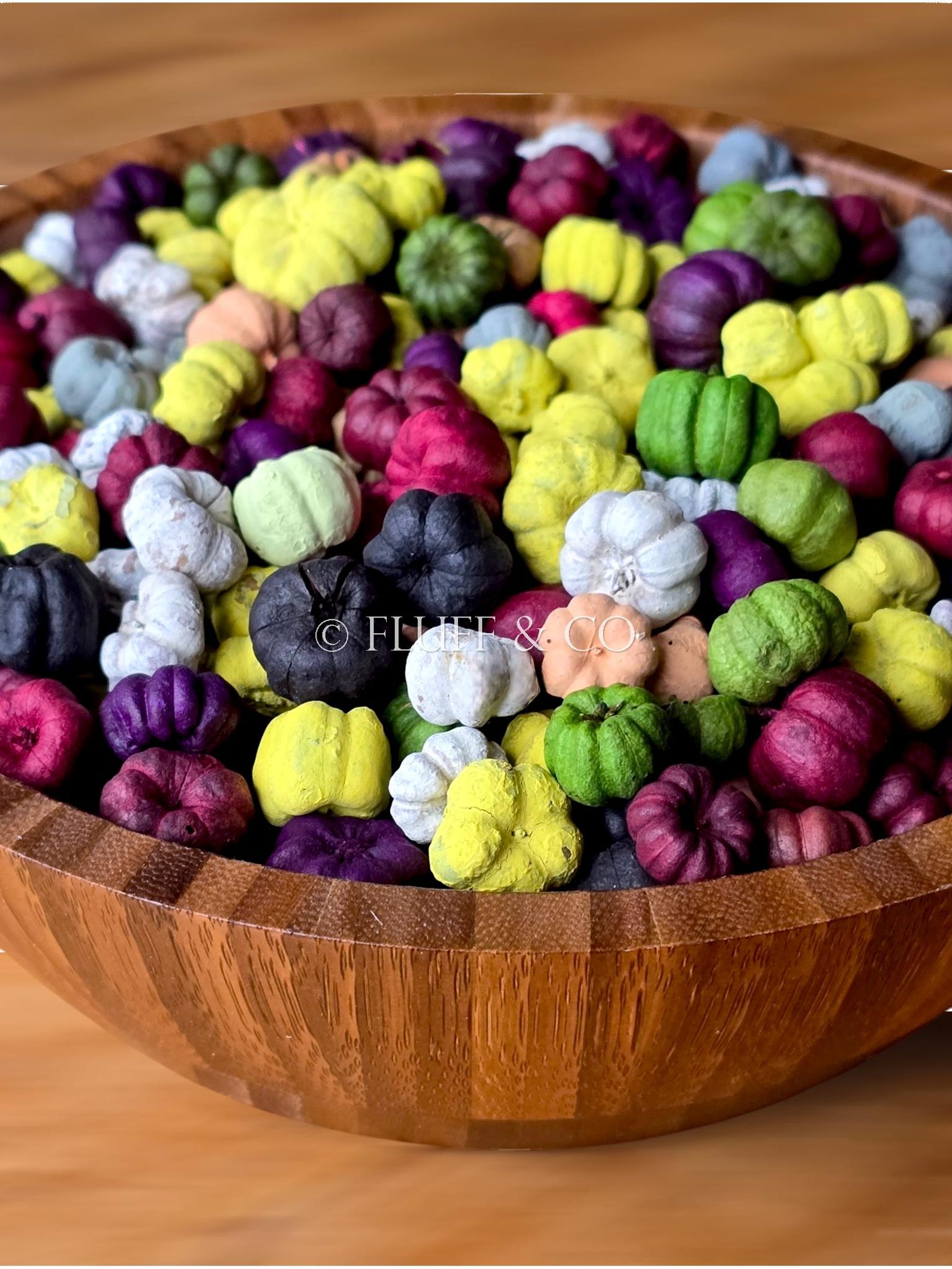 Colourful MINI PUMPKIN Pods – Mixed Dried Putka Pods for Crafts ...