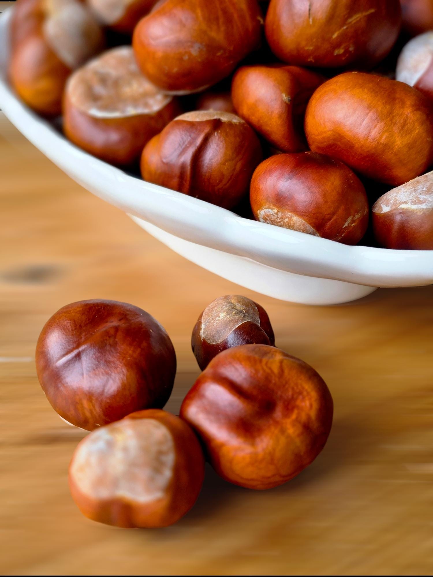 CONKERS - Natural Horse Chesnuts, New Season English Buckeye Nuts ...