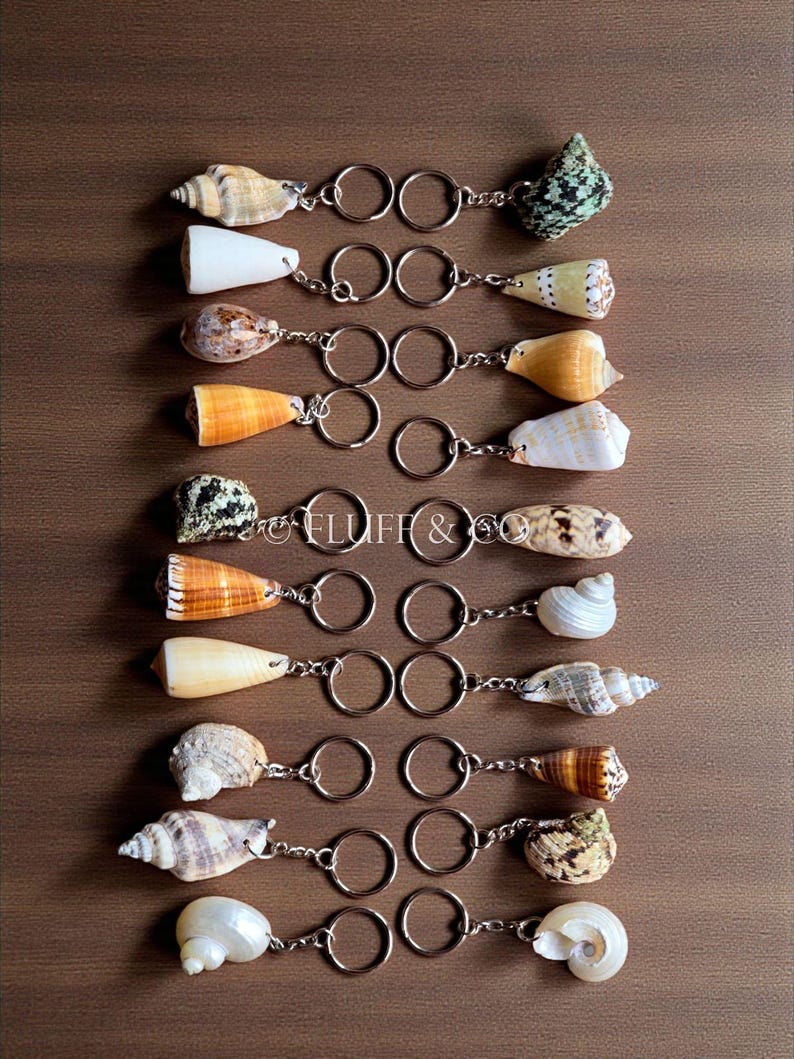 Natural Seashell Keyring Set of 3 5 or 10 Handmade Shell Keychain ...
