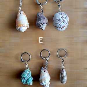 Mini Shell Keyring - Unique Seaside Theme Gift, Beach Style, Coastal ...
