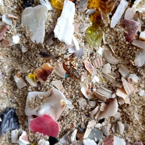 Decorative BEACH SAND With Tumbled Sea GLASS, Shell Fragments and ...