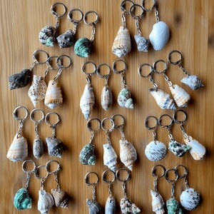 Mini Shell Keyring - Unique Seaside Theme Gift, Beach Style, Coastal ...
