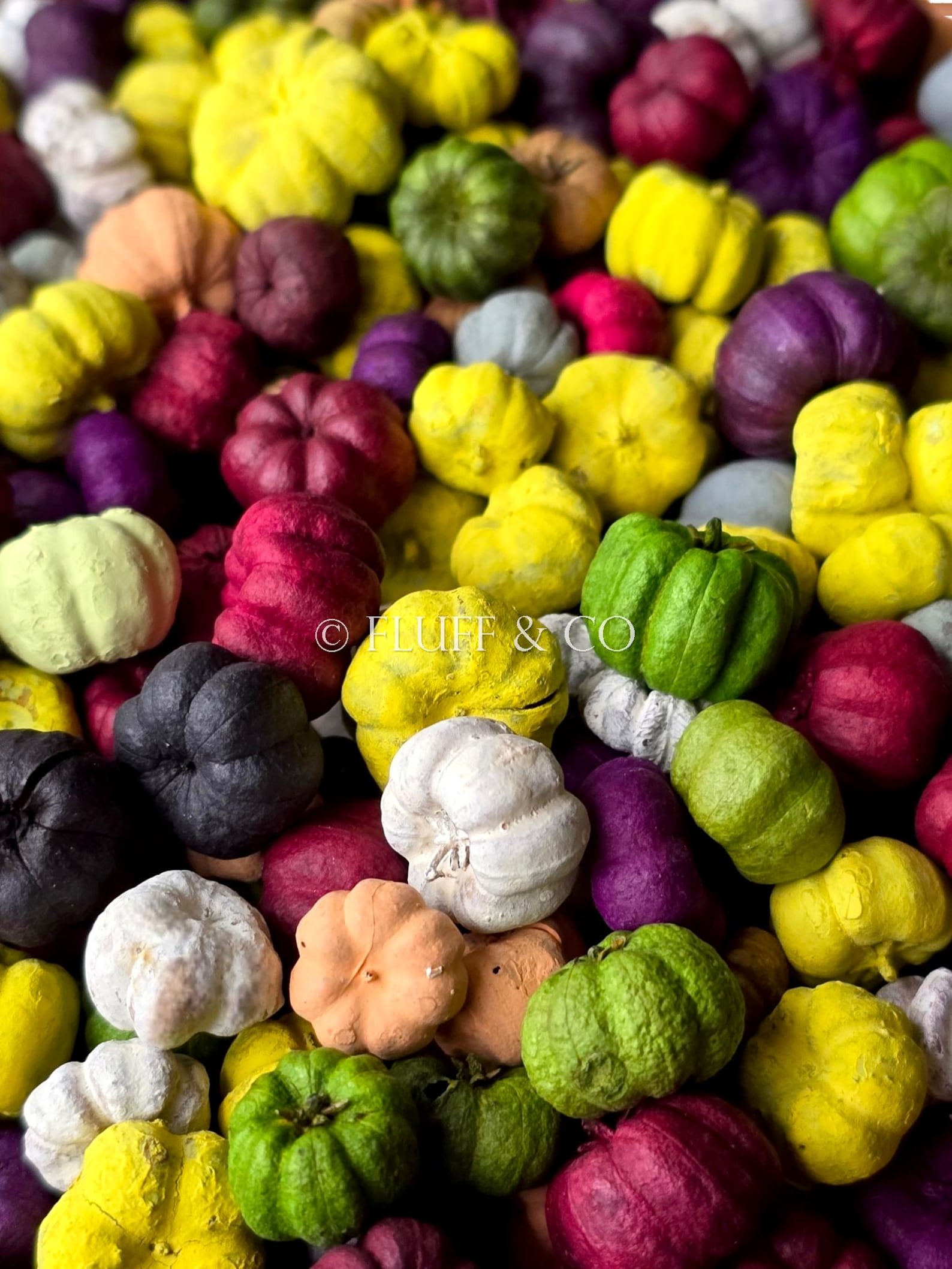 Colourful MINI PUMPKIN Pods – Mixed Dried Putka Pods for Crafts ...
