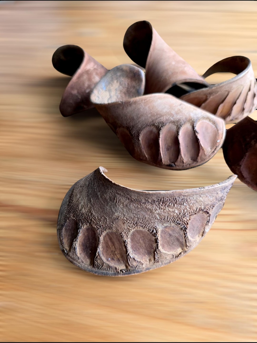 Natural ELEPHANT EAR Pods (delonix Regia), Rustic DRIED Seed Pods for ...