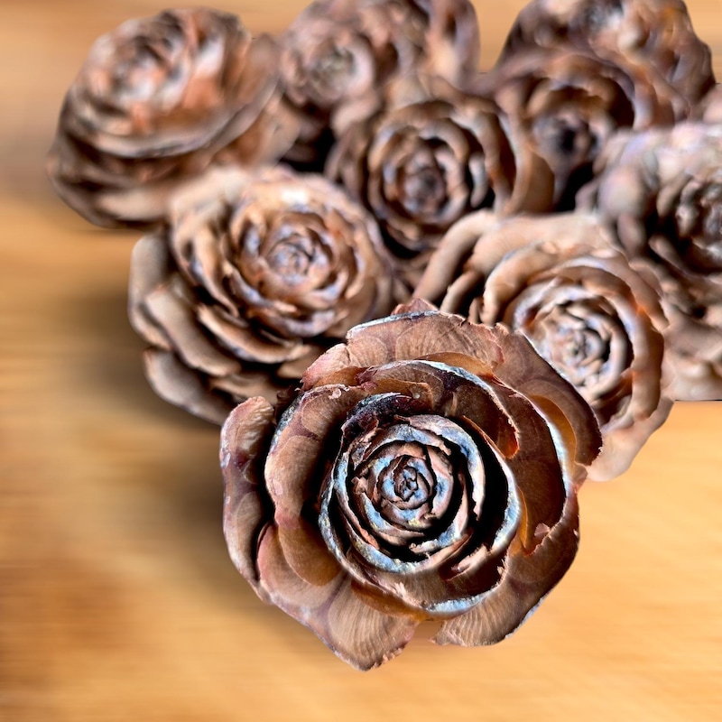 Cedar Roses - Etsy