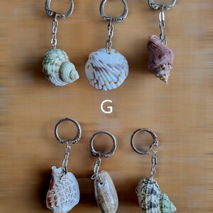 Mini Shell Keyring - Unique Seaside Theme Gift, Beach Style, Coastal Souvenir, Eco Keychain ...