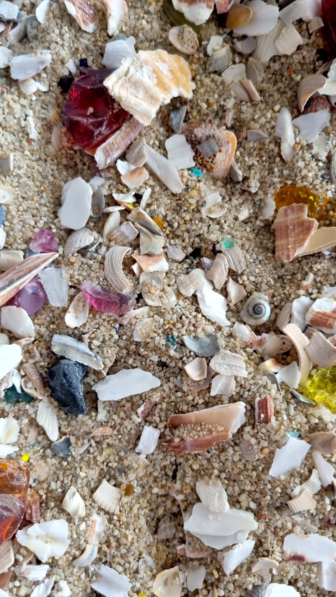 Decorative BEACH SAND With Tumbled Sea GLASS, Shell Fragments and ...
