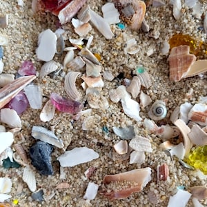 Decorative BEACH SAND With Tumbled Sea GLASS, Shell Fragments and ...