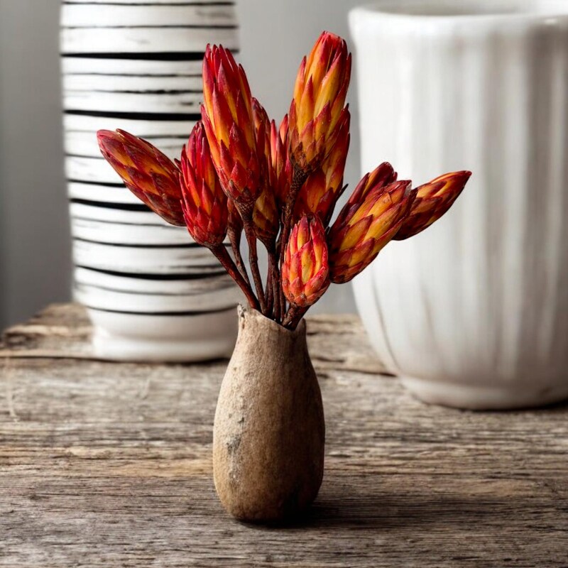 Dried Plant Home Decor - Etsy UK