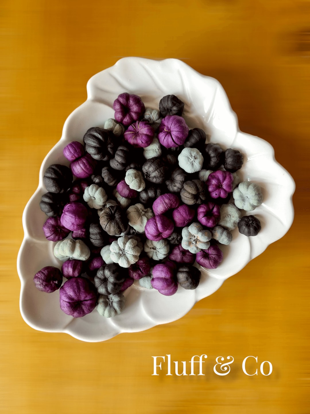 Putka Pods Mini Baby Pumpkin Mix of Purple Grey & Black for Craft ...