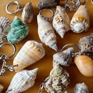 Mini Shell Keyring - Unique Seaside Theme Gift, Beach Style, Coastal ...
