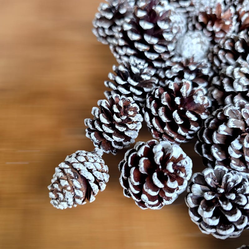Painted Pine Cones - Etsy