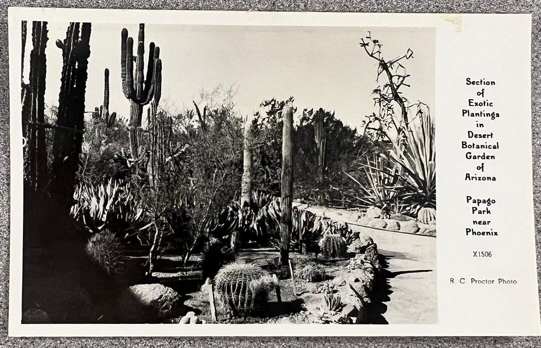 Section of Exotic Plantings - Desert Botanical Garden of Arizona ...
