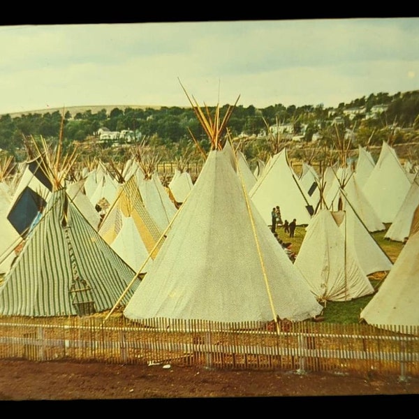 Pendleton Round Up - Etsy