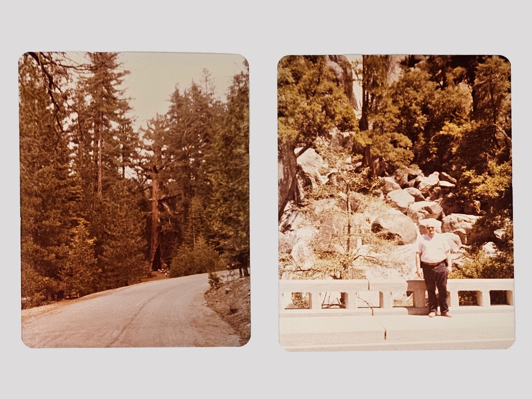 Two 1980s Photos of Oldest Tree in Yosemite National Park Family Trip ...
