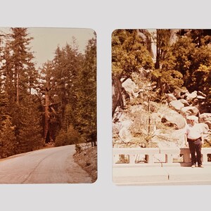 Two 1980s Photos of Oldest Tree in Yosemite National Park Family Trip ...
