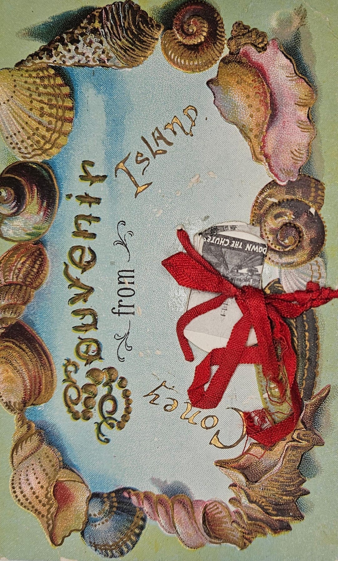 1900s Coney Island Souvenir Post Card - Embossed Seashells and Real Red ...