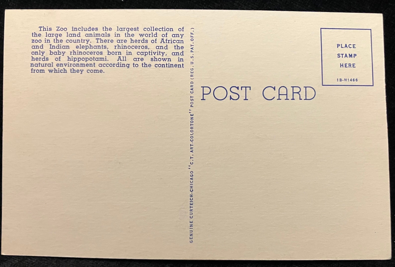 Elephants, the Chicago Zoological Park at Brookfield, Illinois ...