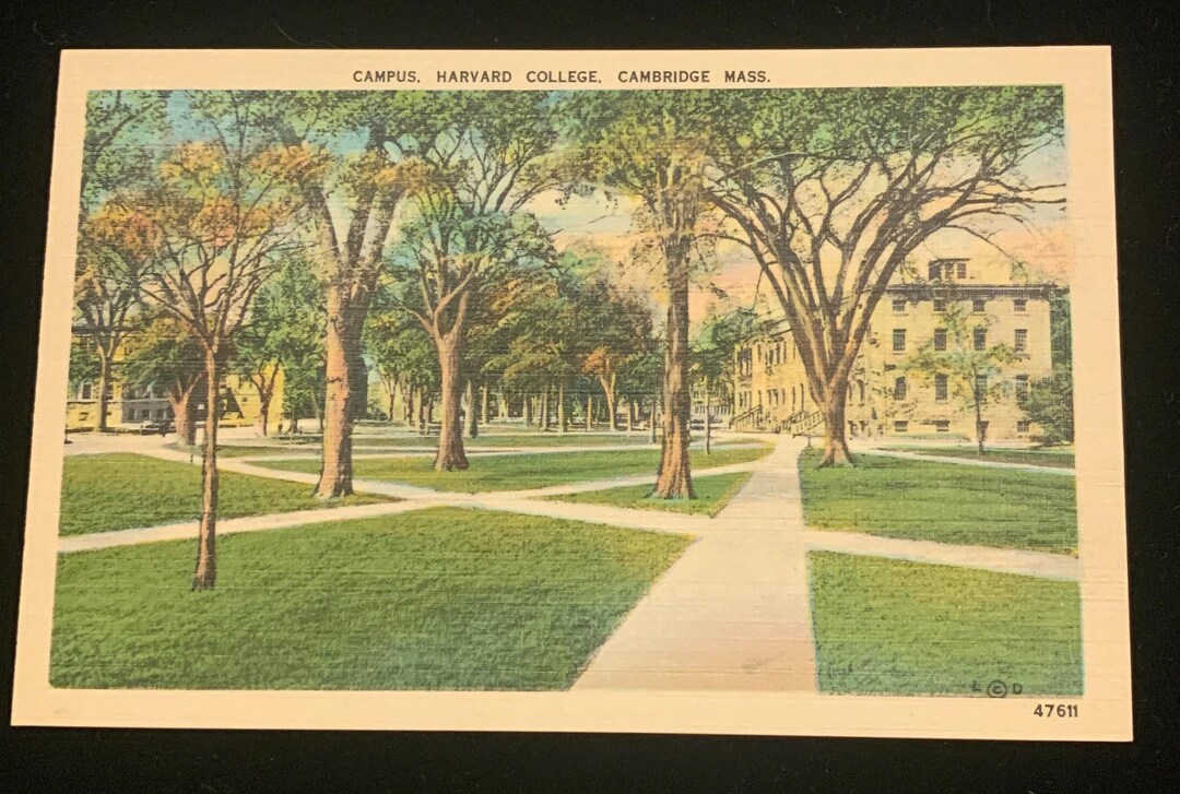 Campus - Harvard College - Cambridge, Massachusetts - 1940s Linen ...