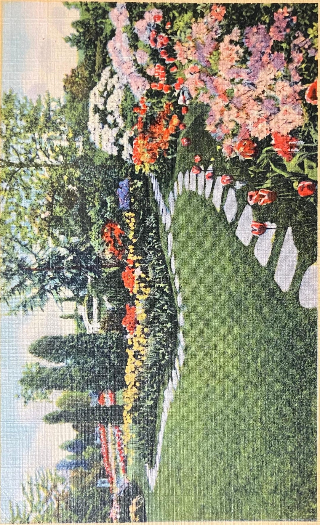 Azaleas and Rhododendrons, Lambert Gardens, Portland Oregon - Vintage ...