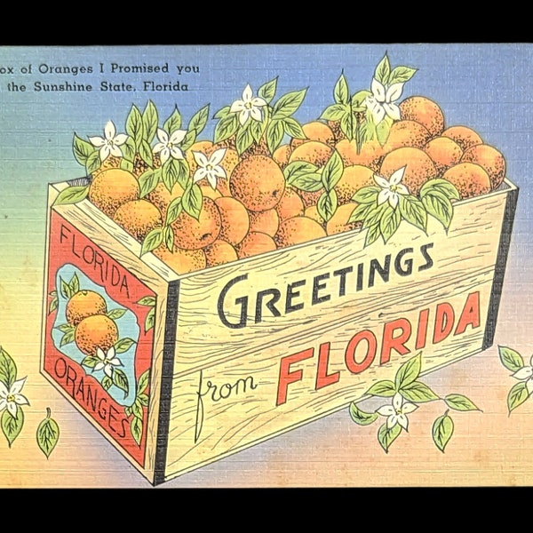 Florida Oranges - Etsy