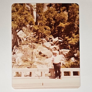 Two 1980s Photos of Oldest Tree in Yosemite National Park Family Trip ...