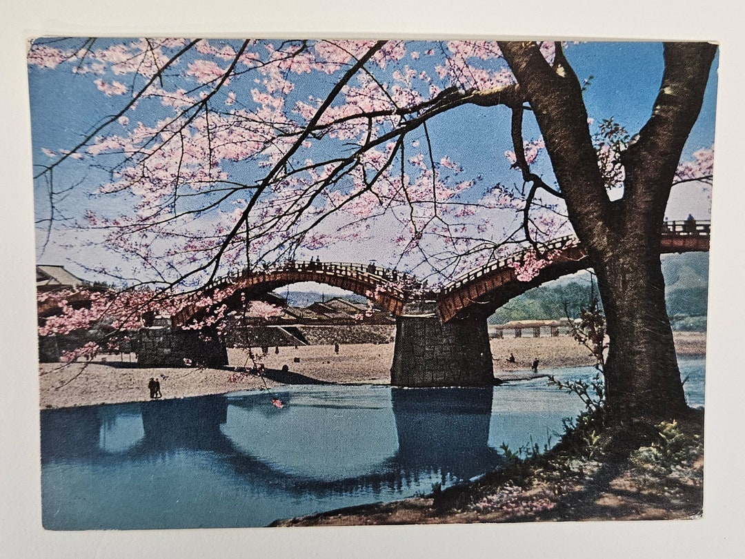 Japanese Kintai Bridge Iwakuni Cherry Blossoms in Spring Bridge is ...