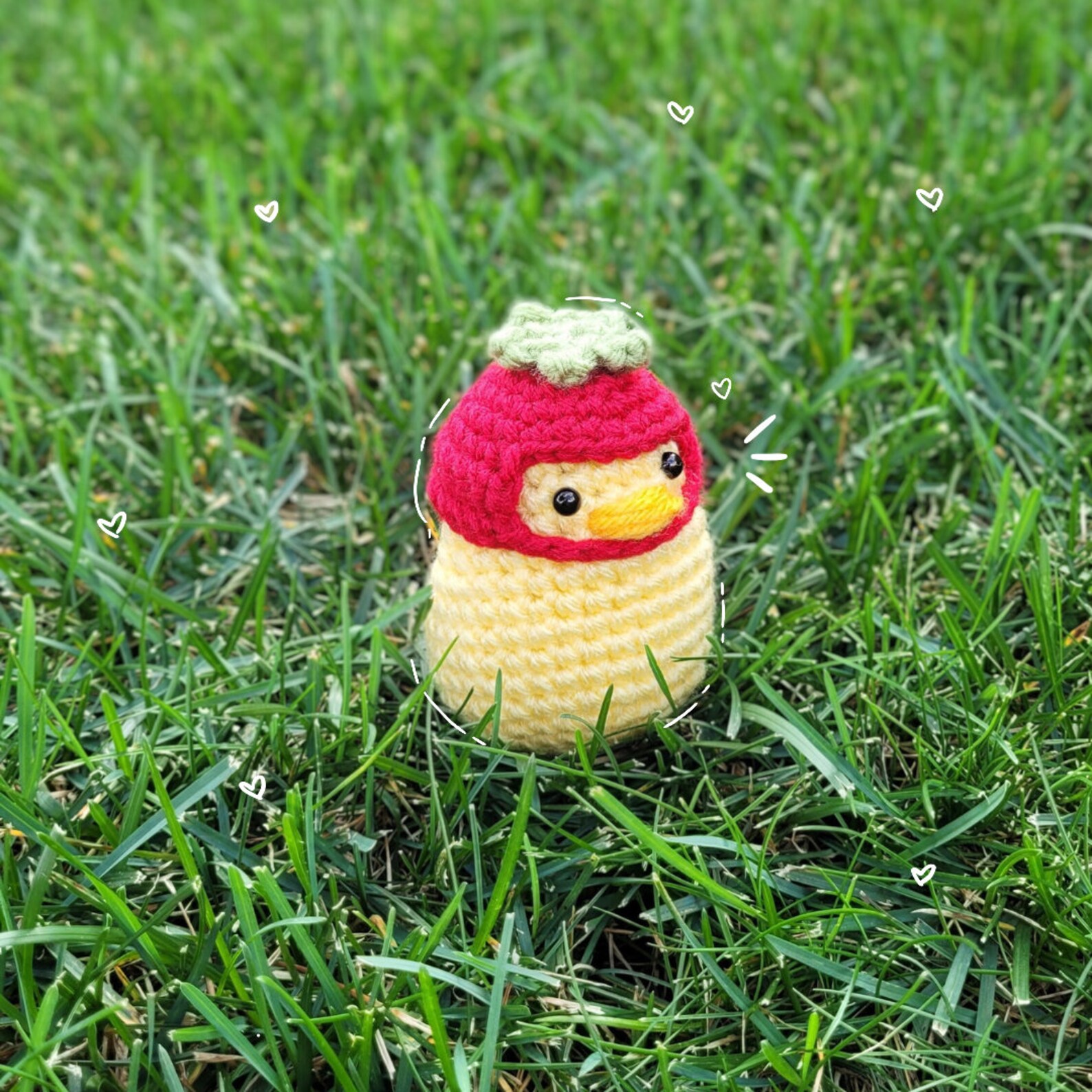 Adopt-a-duck | Cute Crochet Duck Friend | Amigurumi With Fruit, Animal ...