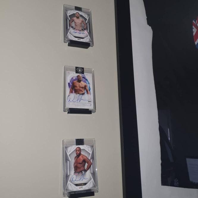 Wall Mounted Display Stand for Trading & Collectible Cards | Etsy