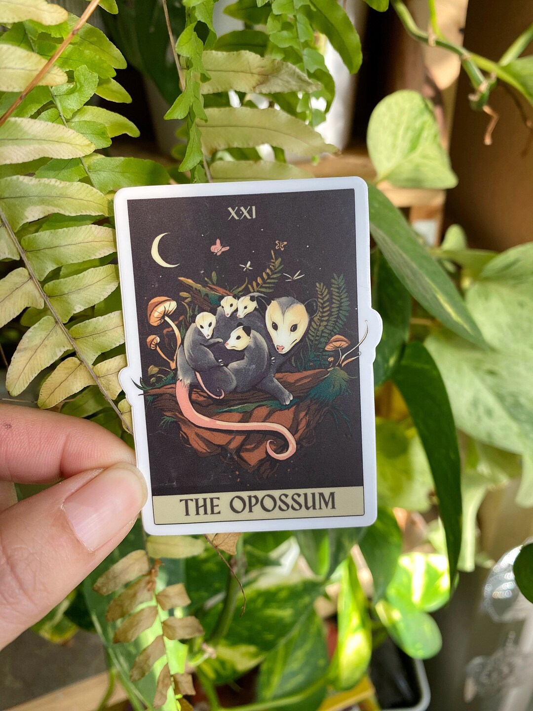 Possum Sticker Tarot Card Sticker Tarot Possum Sticker - Etsy