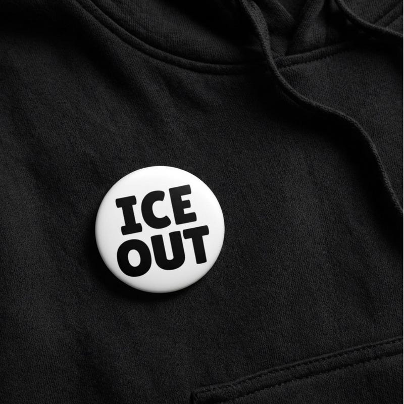 Anti Ice Pins Enamel Pins - Etsy