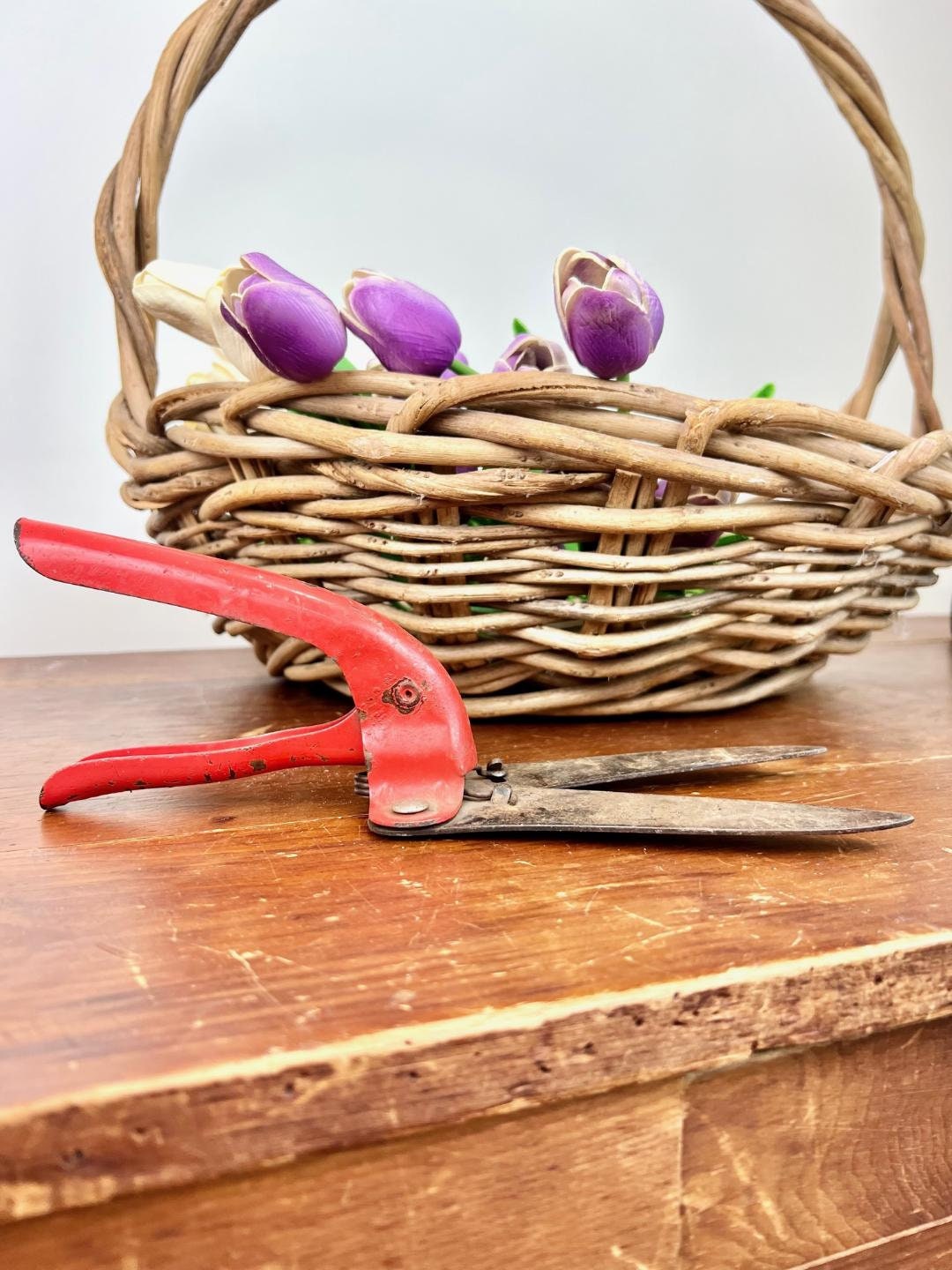 Awesome Vintage Red Handled Garden Shears With Chippy Handles & Perfect ...