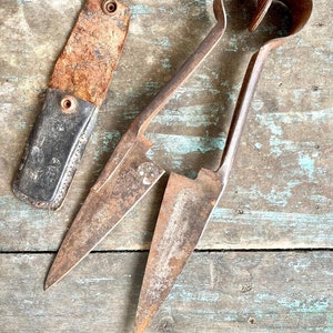 Antique English Hand Forged Metal Wool Shears With Leather Sheath ...