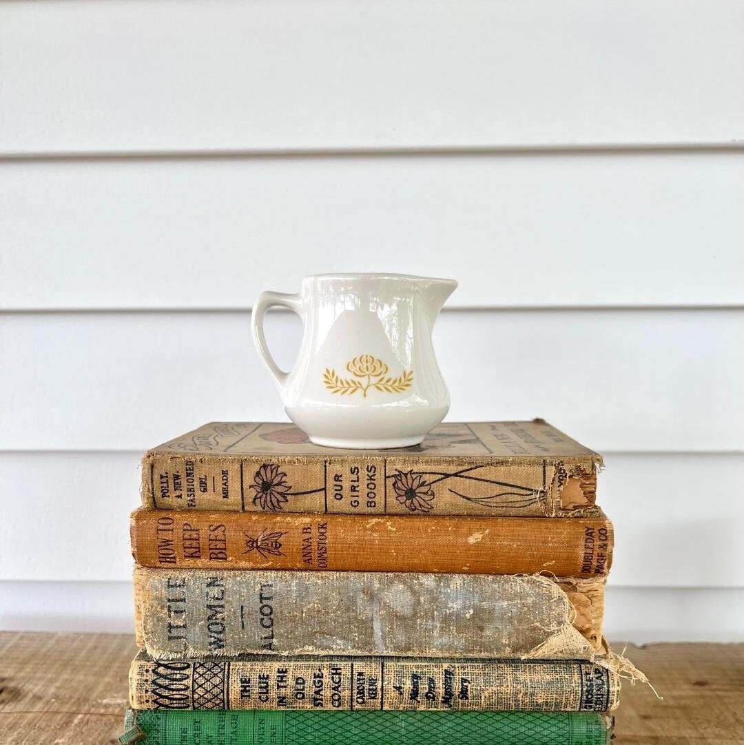 Lovely Vintage Restaurant Ware / American Ironstone Creamer With Sweet ...