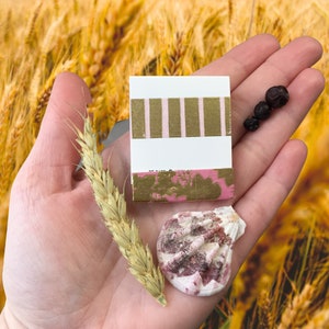 Demeter Travel Altar Kit Mother Goddess Alter Set Witchy Vibes Greek ...