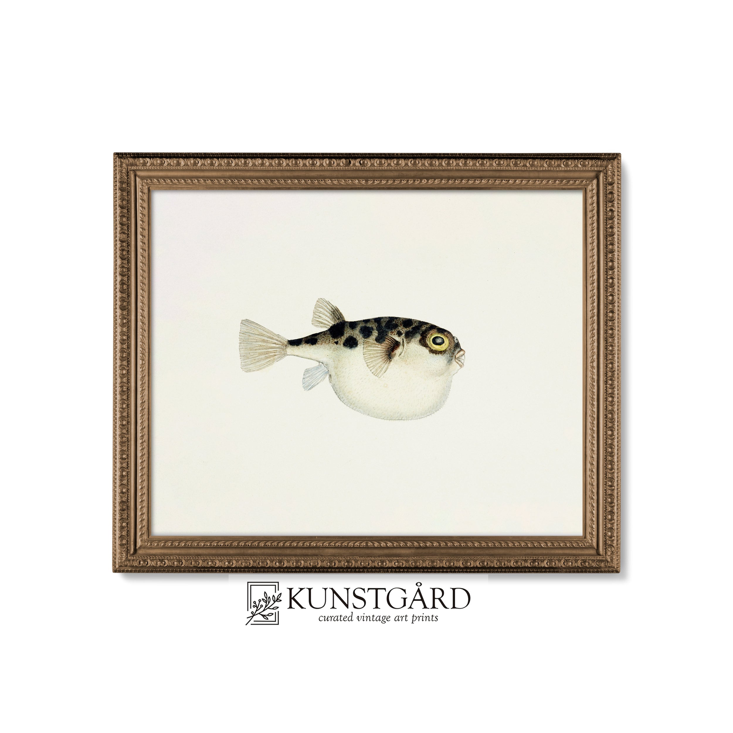 Antique Puffer Fish Painting Beach House Decor Vintage Bathroom Wall ...