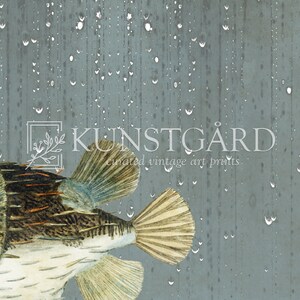 Sage Green Puffer Fish Wall Art, Green Bathroom Wall Decor, Green ...